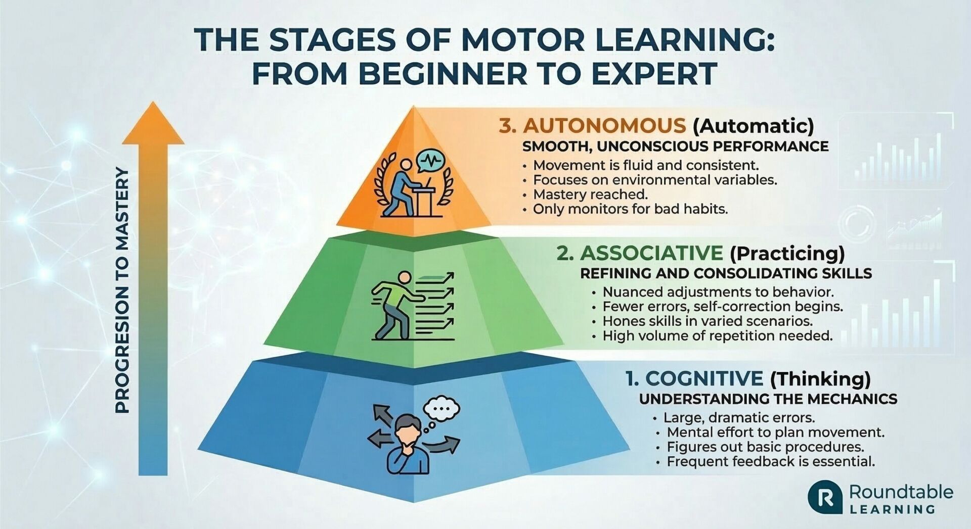 Stages of Motor Learning: What They Are and Why Matter for Training ...